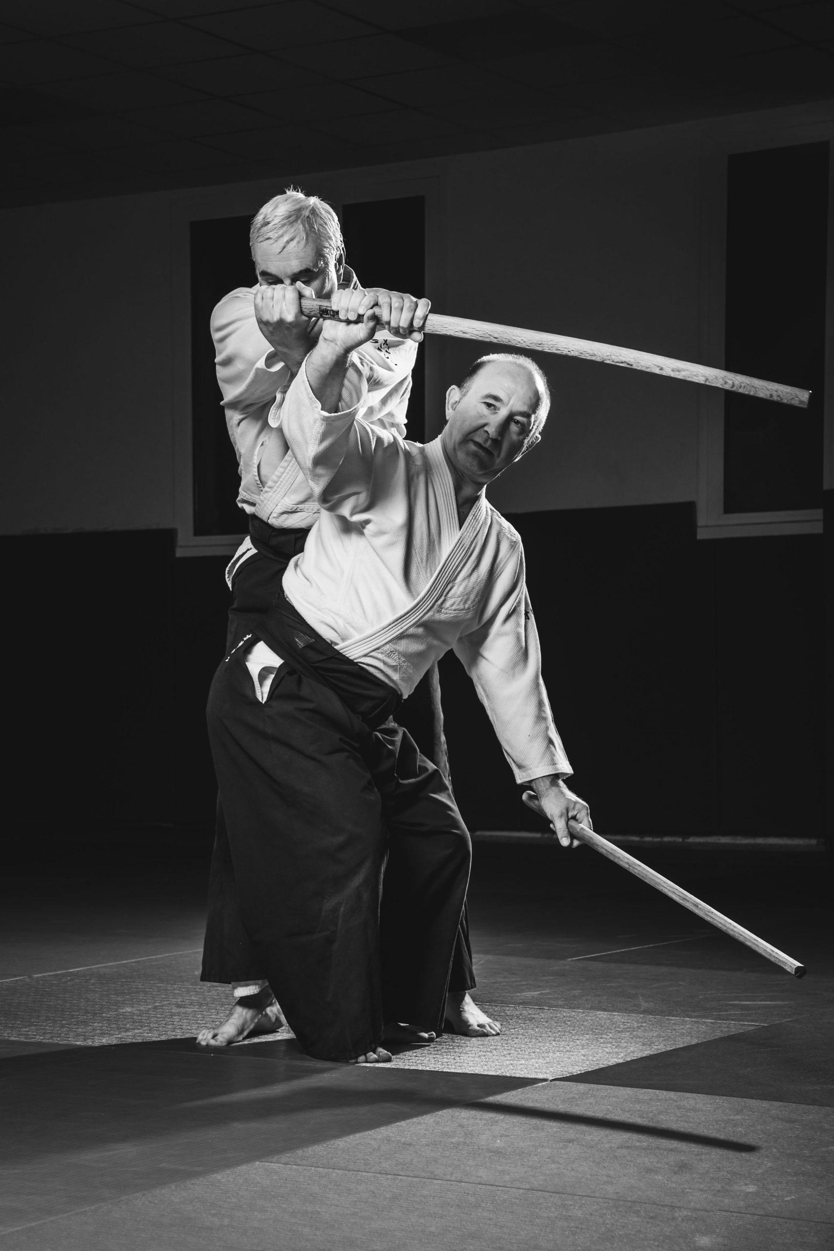 Arts Martiaux - Aikido - Karaté - Ninjutsu - Iaijutsu - Association Dokan
